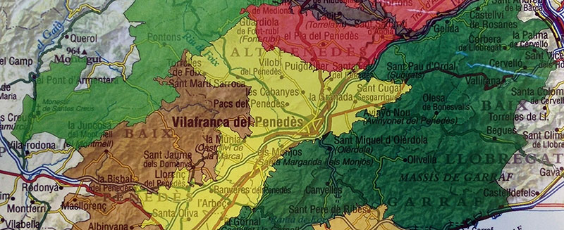 A glàss of clàss? Understanding “Clàssic Penedès” · Hudin.com