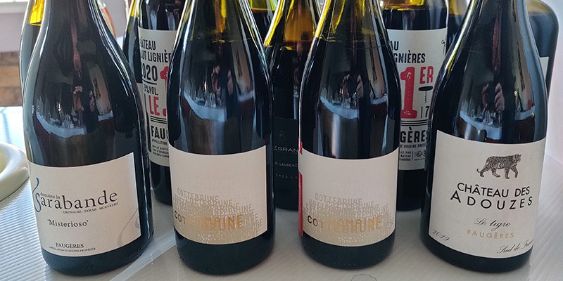 AOC Faugères 2022 · Hudin.com