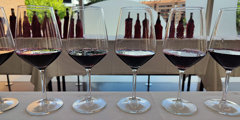 DOC Rioja Maturana Tinta · Hudin.com