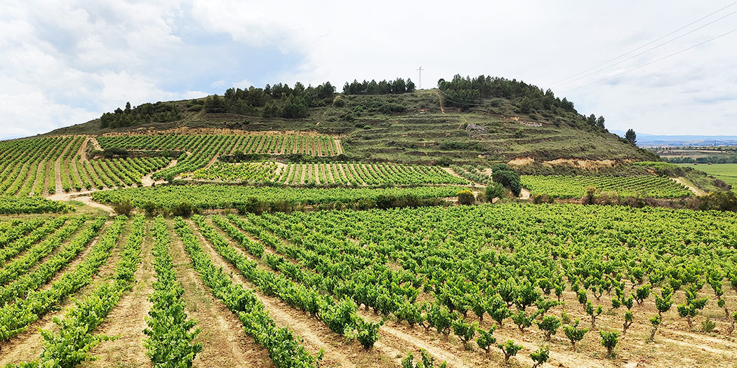 The wines of DOC Rioja 2023 · Hudin.com