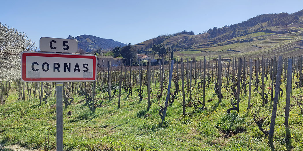 A taste of Northern Rhône 2024 · Hudin.com