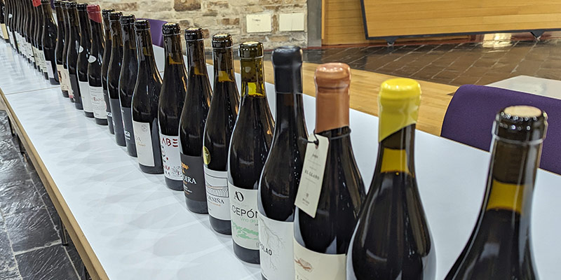 DO Bierzo 2024 · Hudin.com