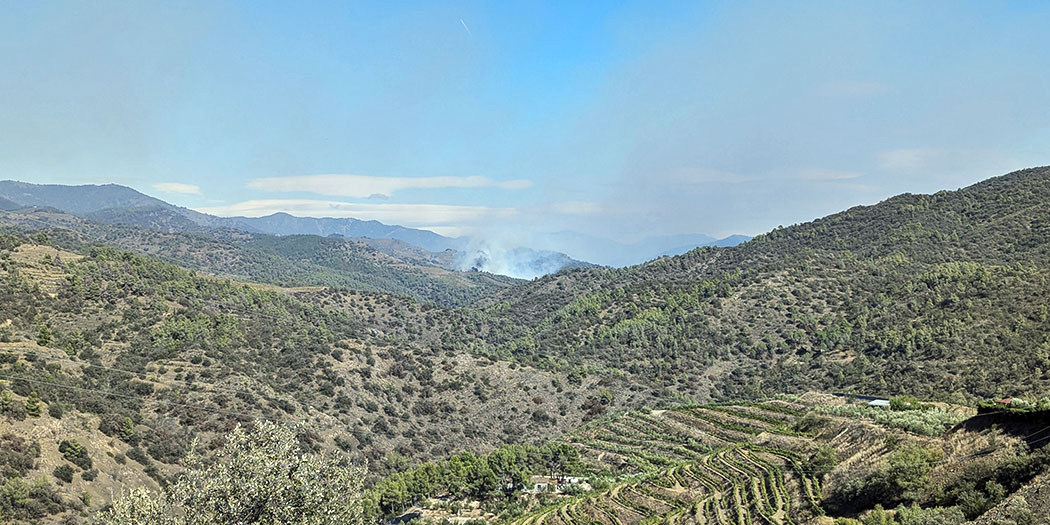 The wines of DOQ Priorat & DO Montsant 2024 · Hudin.com