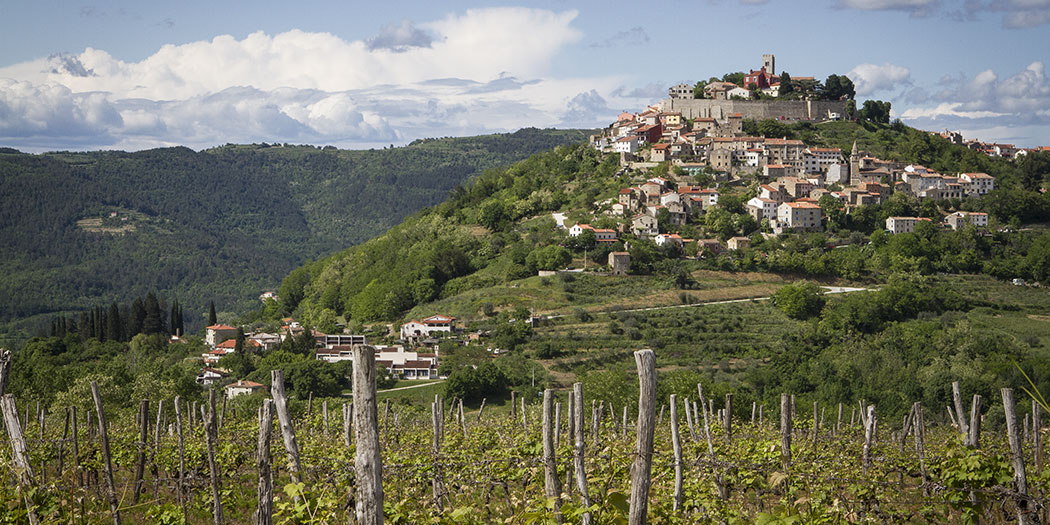 The wines of Croatia 2025 · Hudin.com
